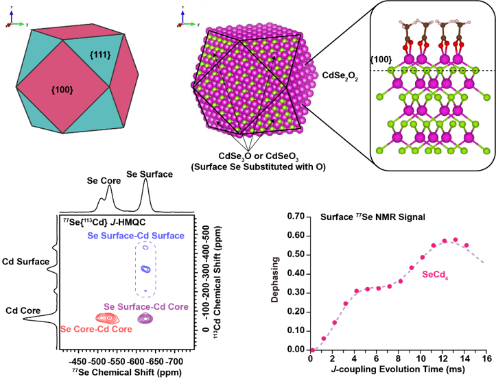 Revealing the Surface Structure of CdSe Nanocrystals | Ames Laboratory