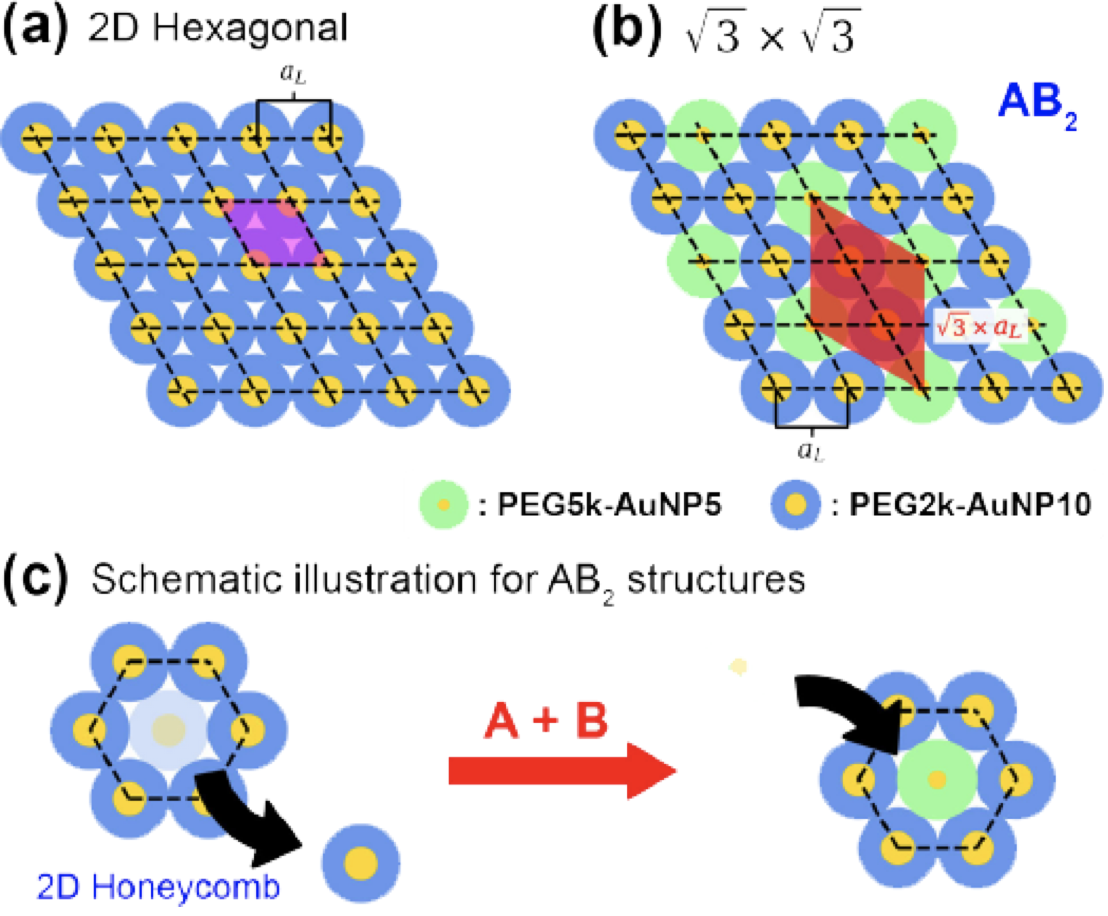 2d Binary Superlattices Of Gold Nanoparticles Ames Laboratory