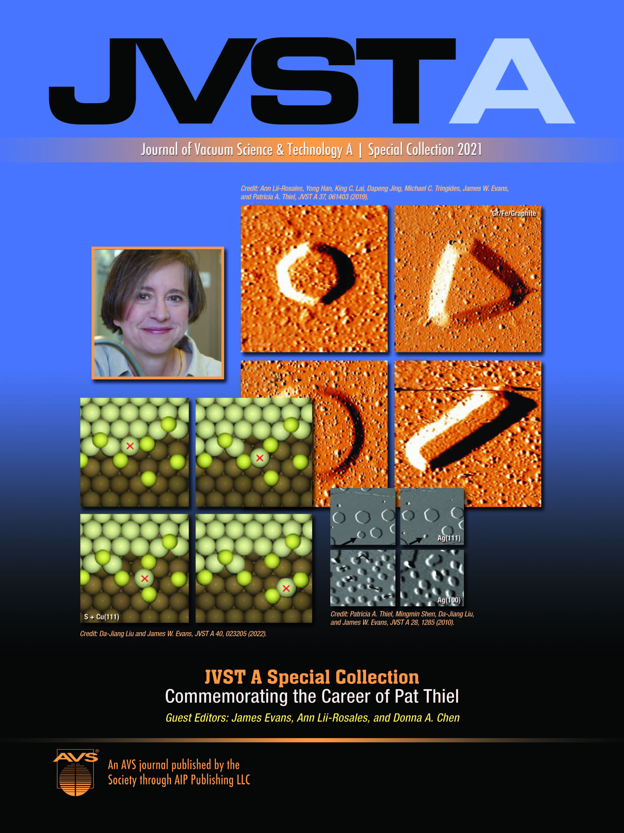 Pat Thiel's research commemorated in special journal issue | Ames ...
