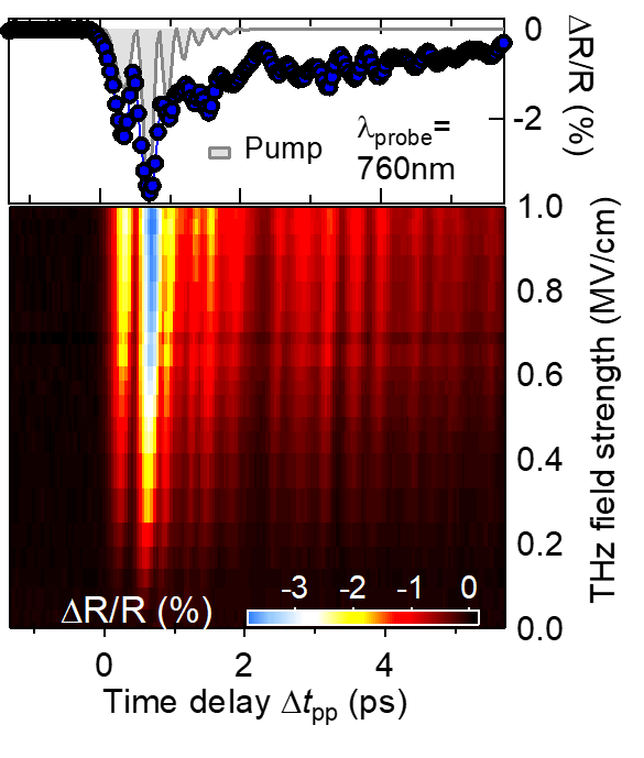Quantum beats unveils hidden Rashba effects in perovskite photovoltaics ...