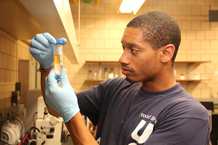 Education Programs | Ames Laboratory