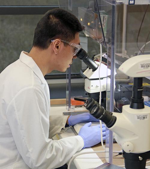 Work with Us | Ames Laboratory