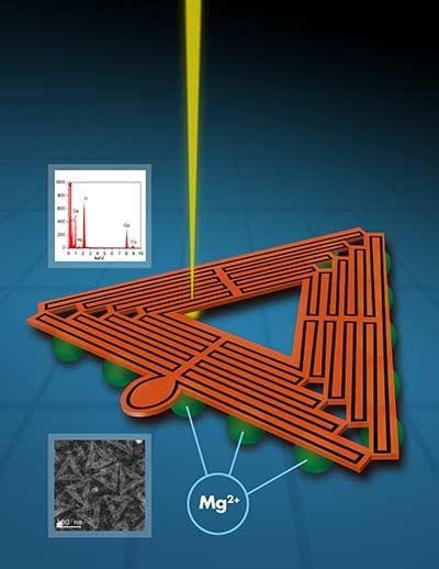 Direct microscopy imaging reveals details in DNA origami nanostructures ... Direct microscopy imaging reveals details in DNA origami nanostructures ...